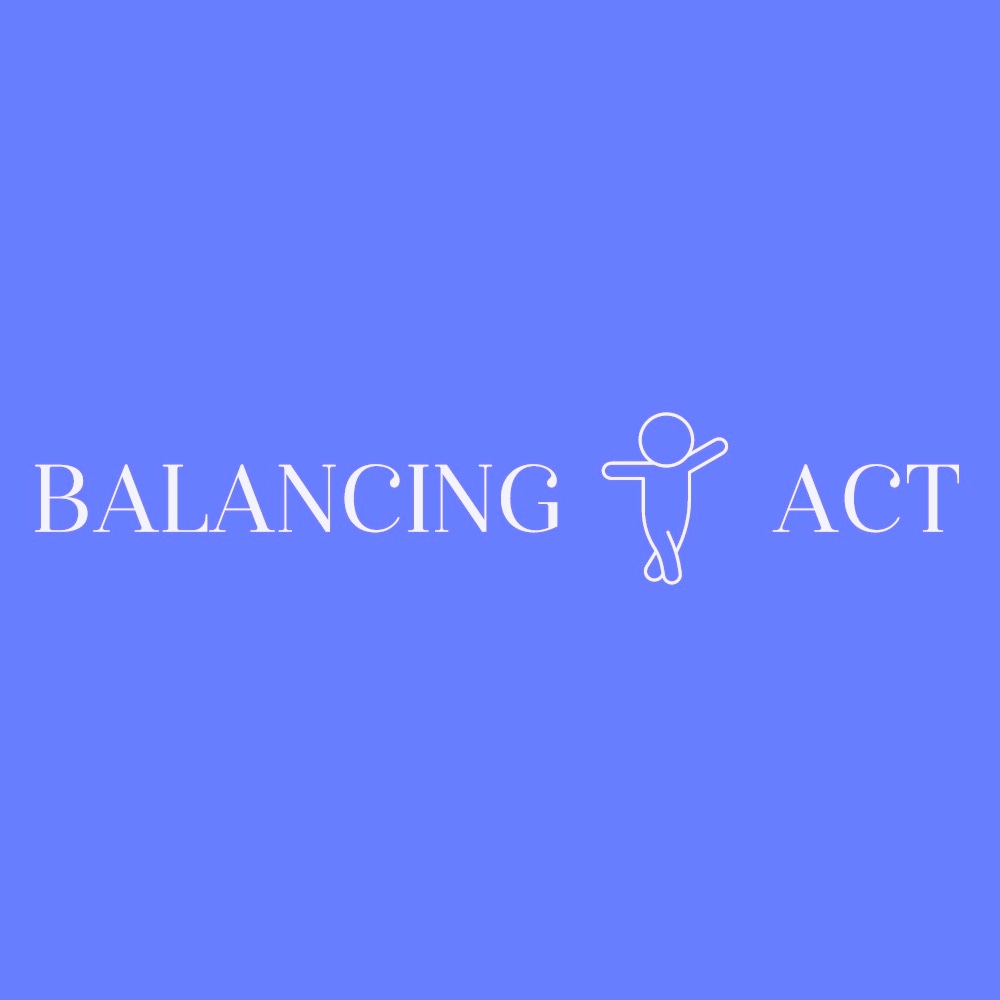 Toy Safety and Disclaimer Statement – Balancing Act Toys